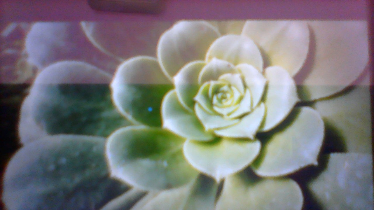 Materia-preferata - KIDIBOT Knowledge Battles